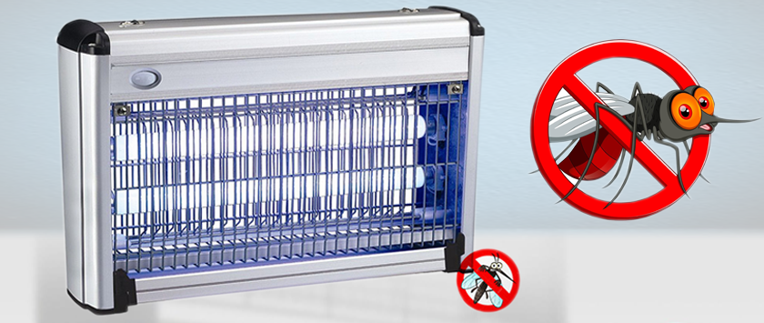 Insect killer - Ways To Eliminate Those Pesty Insect Bugs | Deluxe Nigeria